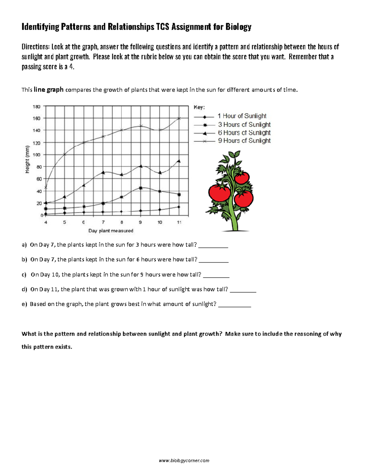 TCS Identifying Patterns and Relationships Biology Assignment ...