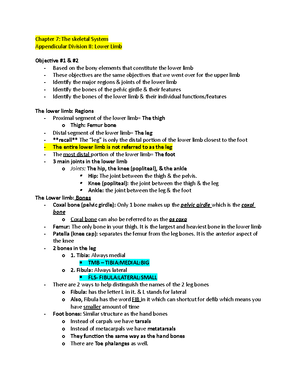 Chapter 9 obj 3&4 - Dr Brinn - Chapter 9 The muscular system ...