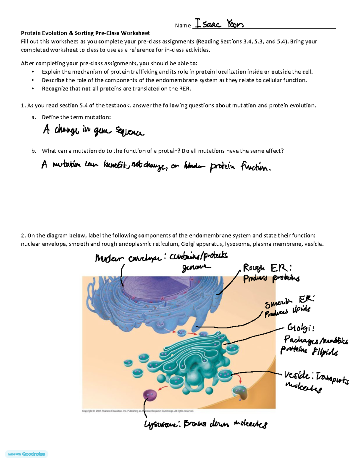 7a - asf - Name _____________________________________________ Protein ...