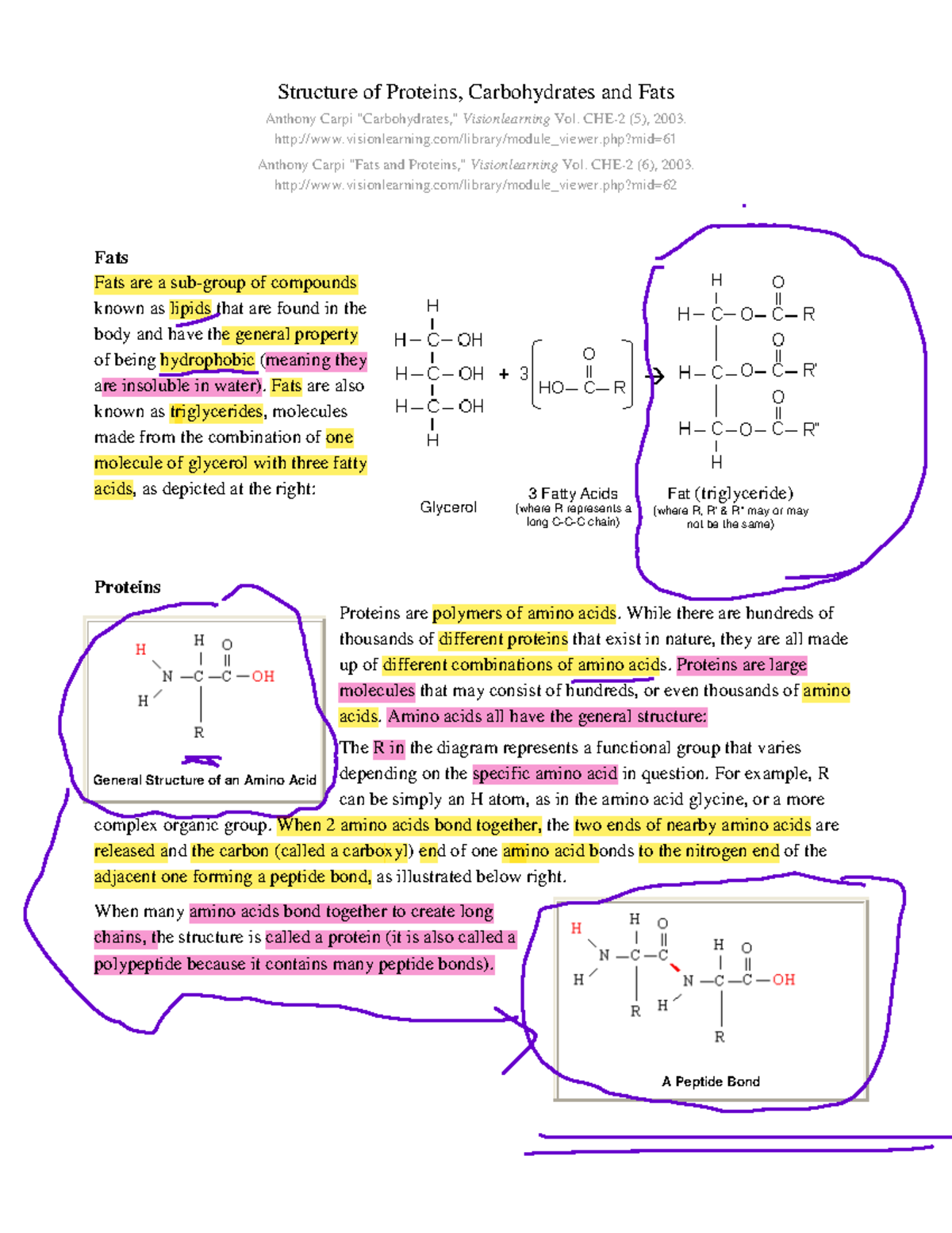 Protein Carbs Fat biochem 1 - Structure of Proteins, Carbohydrates and ...