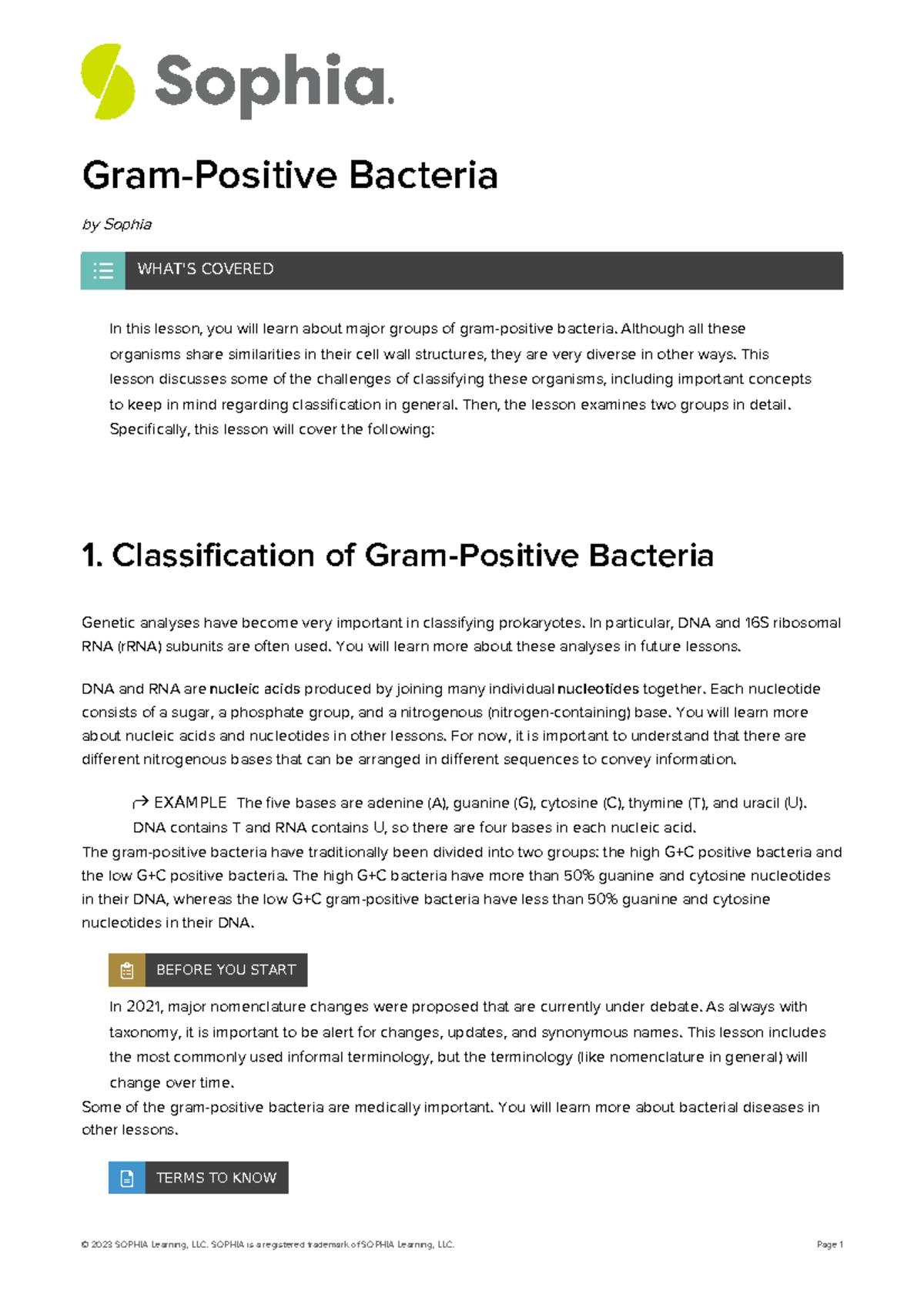 Gram-positive-bacteria - Gram-Positive Bacteria by Sophia In this ...