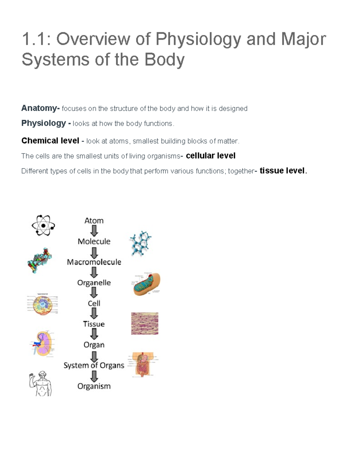 1 - mod 1 - 1: Overview of Physiology and Major Systems of the Body ...