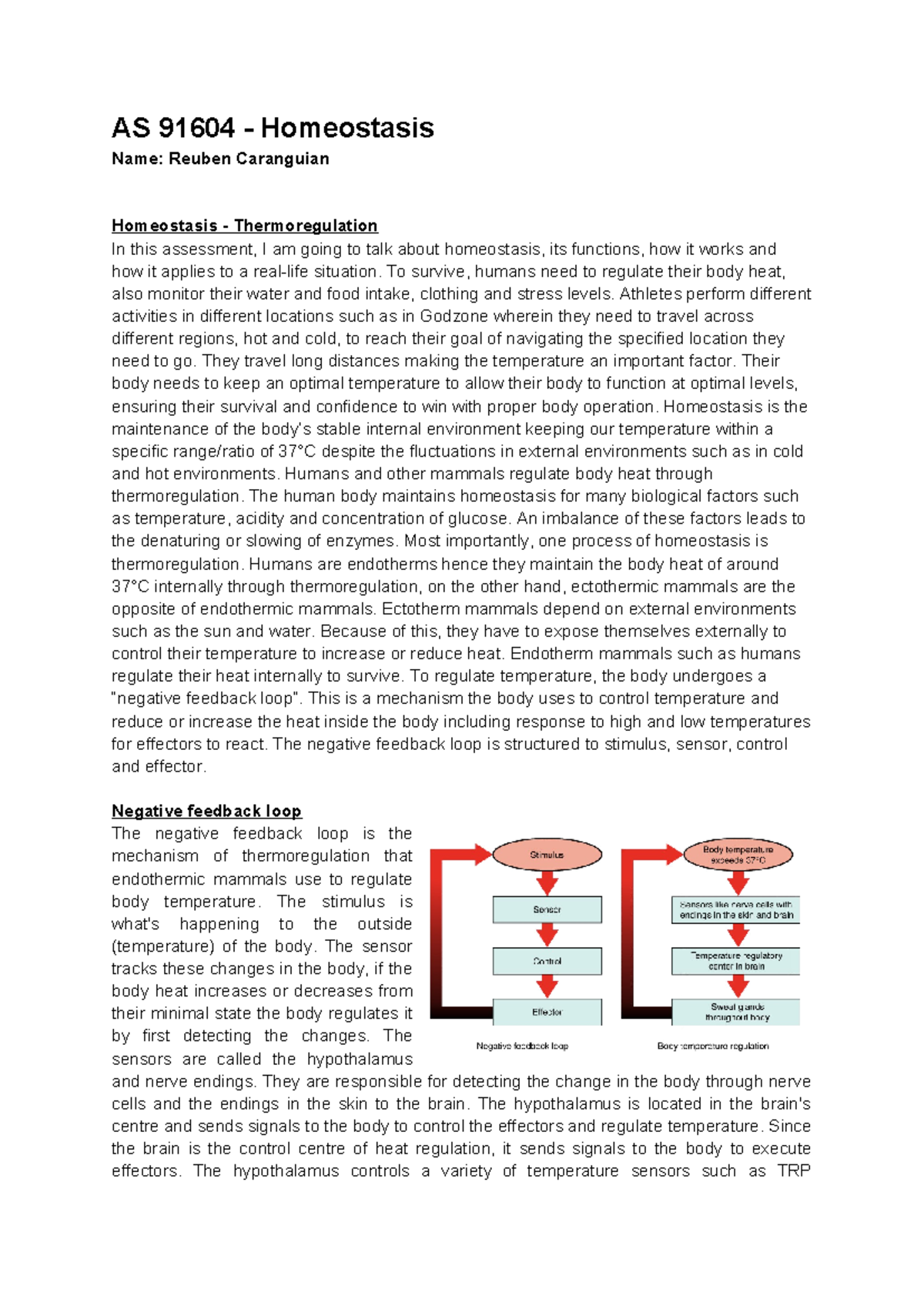AS 91604 - Homeostasis assessment (E) - AS 91604 - Homeostasis Name ...