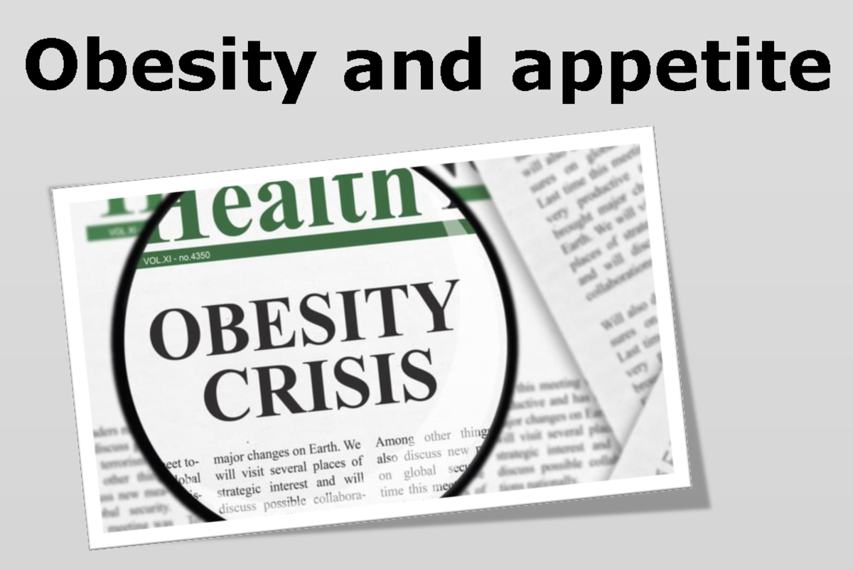 L5 Obesity and appetite notes - Obesity and appetite Key points Body ...
