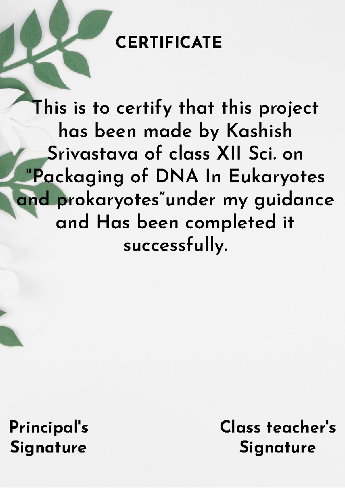 Packaging of DNA - CERTIFICATE This is to certify that this project has ...