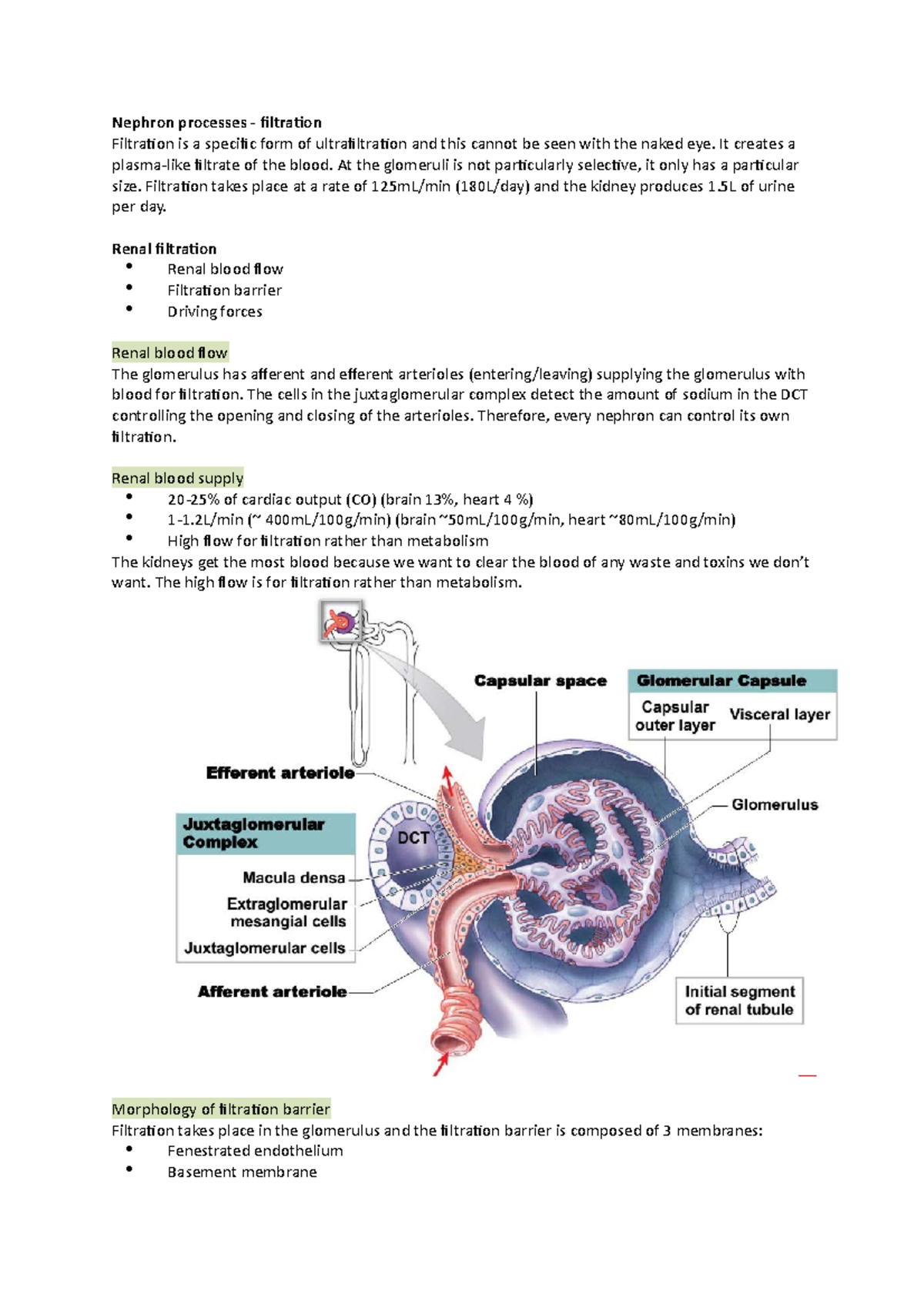 Lecture 32 - Glomerular function - Nephron processes - filtration ...