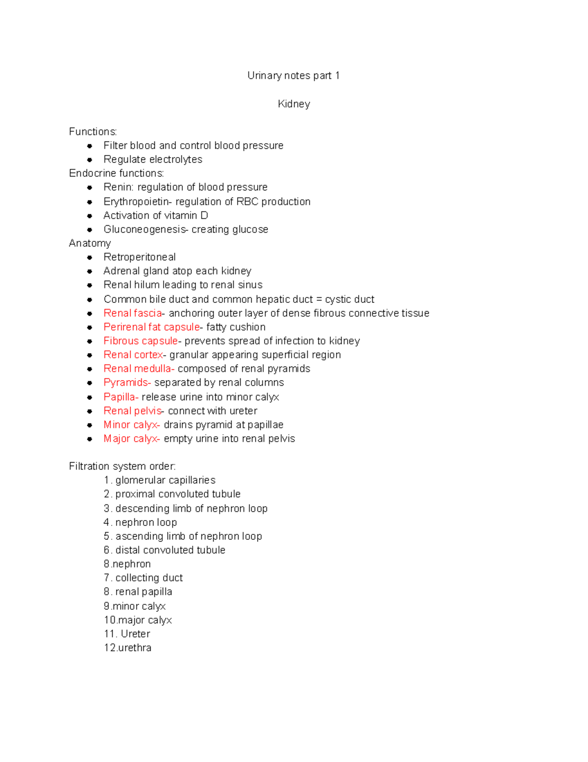 Urinary notes part 1 and 2 - Urinary notes part 1 Kidney Functions ...