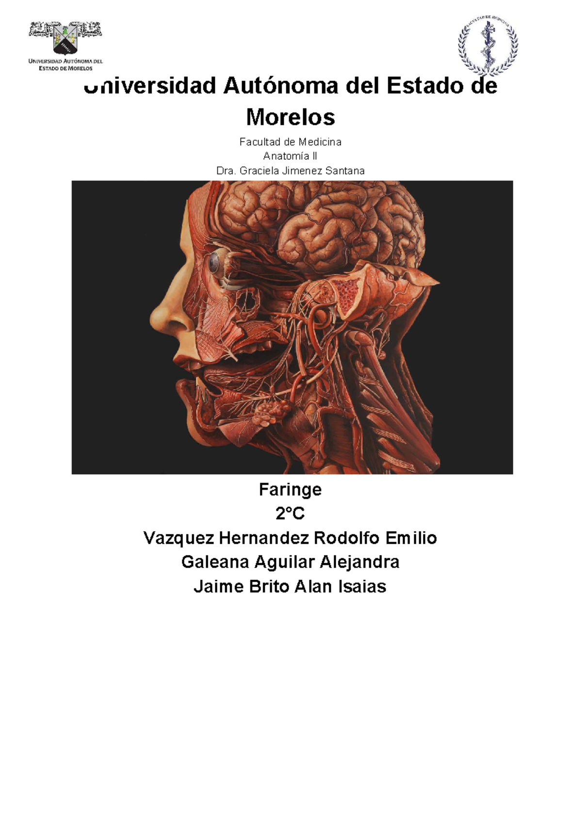 Faringe - Universidad Autónoma del Estado de Morelos Facultad de Medicina Anatomía ll Dra ...