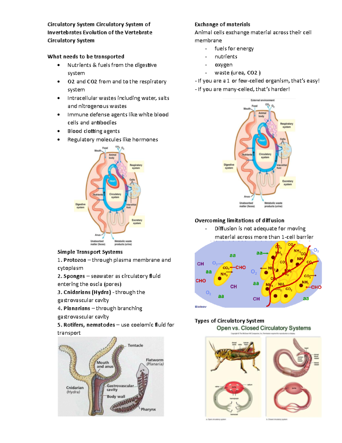 Circulatory System Circulatory System of Invertebrates - Circulatory ...
