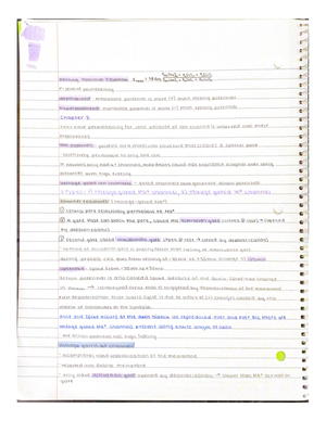 Visual System part 1 Notes - BIOS 276 - Rewritten Visual System Monday ...