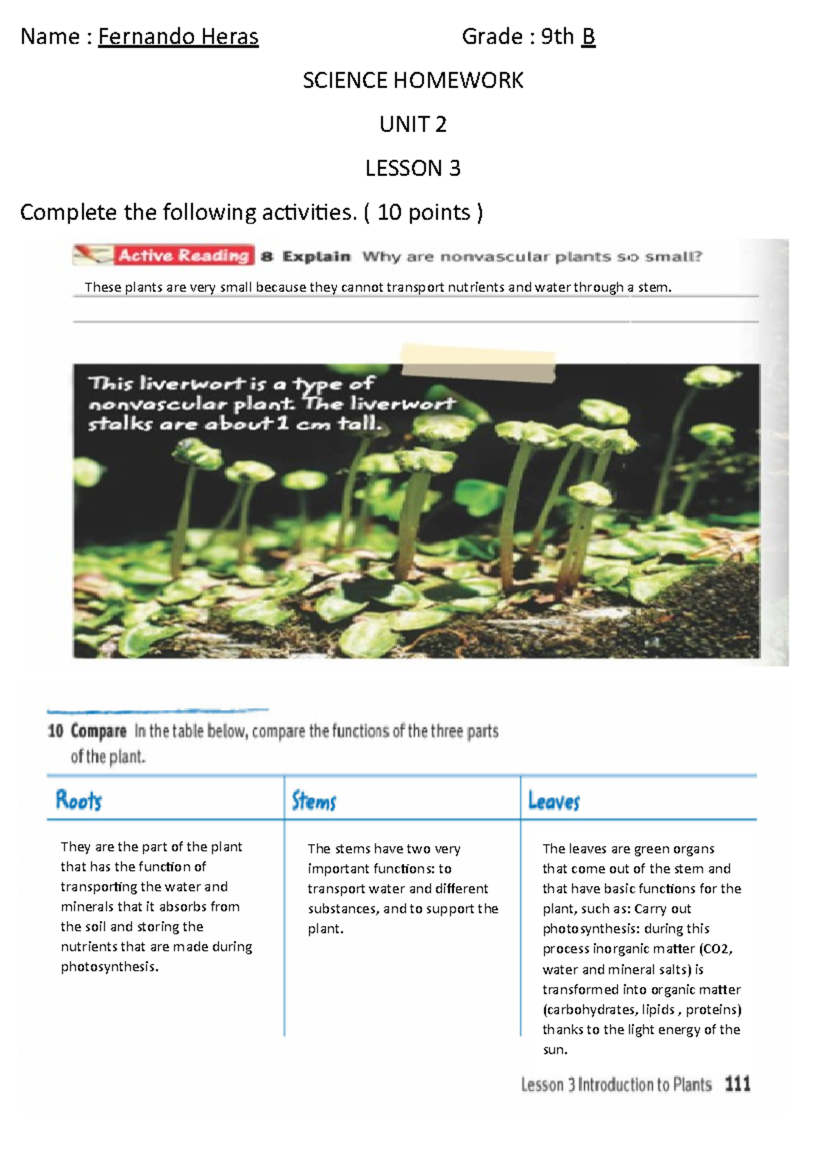 Week 1 Engage your brain 9th (3) - Name : Fernando Heras Grade : 9th B ...