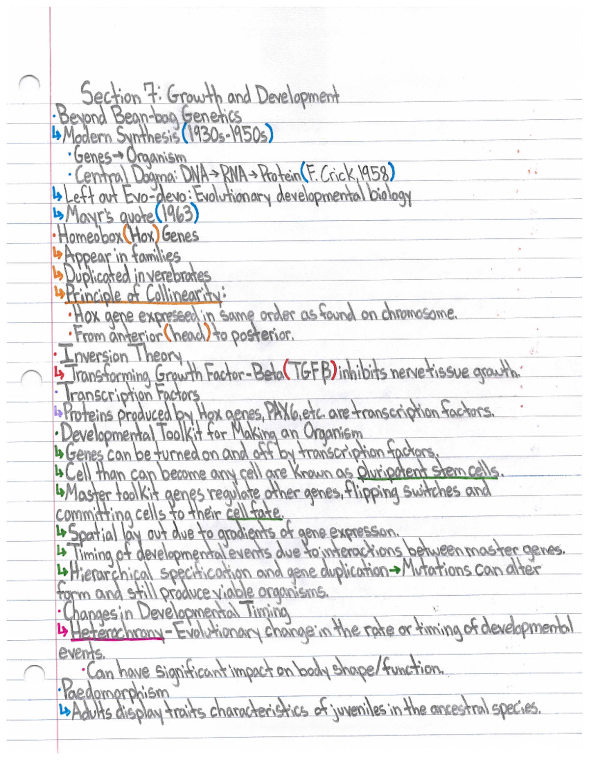 Growth and Development Notes - BIO 1414 - Studocu