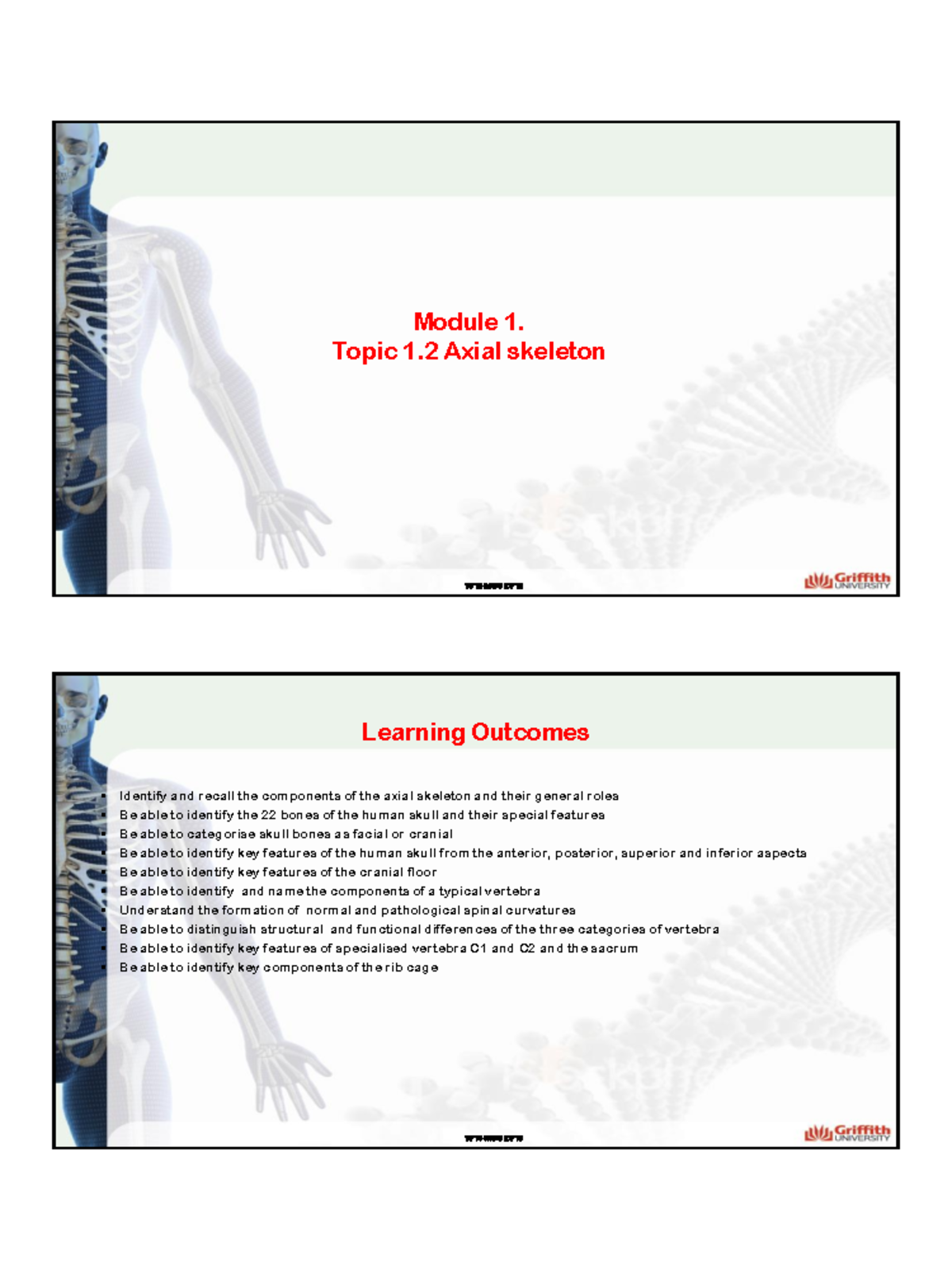 Skeletal System - Module 1. Topic 1 Axial skeleton 1016 MSC 2019 ...