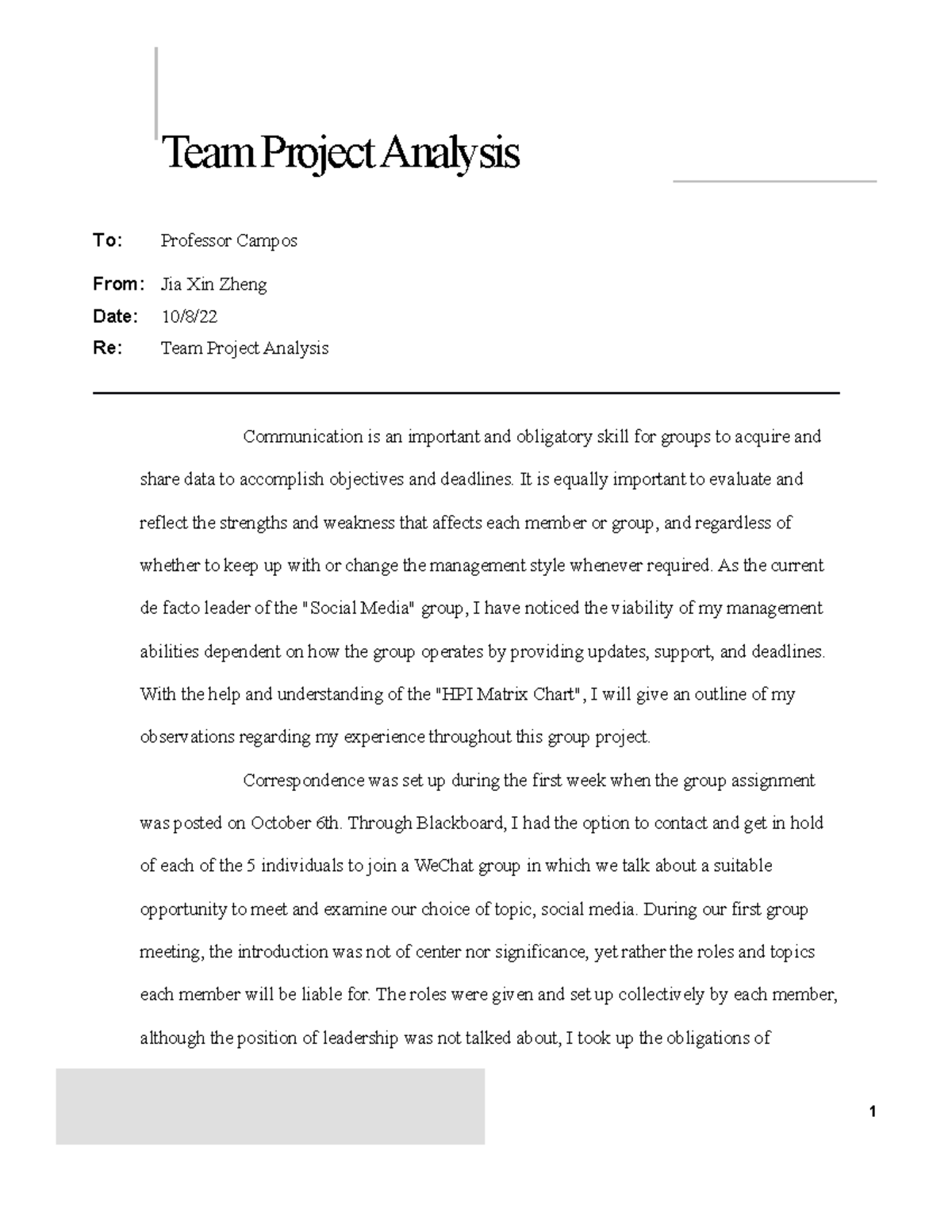 Group Project Analysis Team Project Analysis To Professor Campos group-project-analysis-team-project-analysis-to-professor-campos