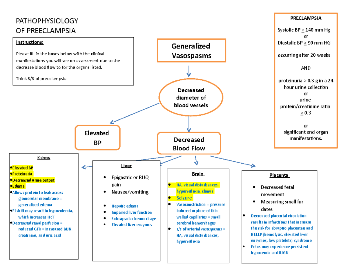 From zoom review Preeclampsia Pathophysiology SP 2022 - PATHOPHYSIOLOGY ...