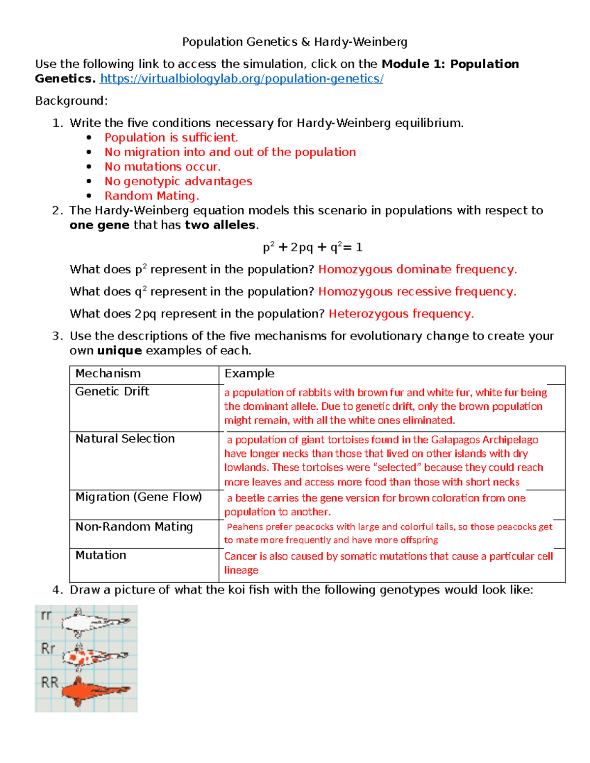 03-Pop Genetics Simulation - Population Genetics & Hardy-Weinberg Use ...
