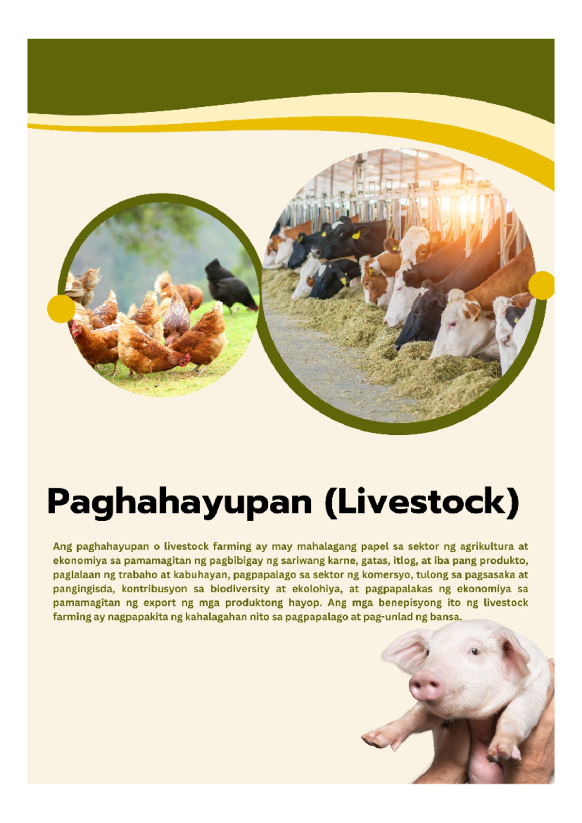 5 20240513 195128 0004 - agrikultura - Paghahayupan (Livestock) Ang ...