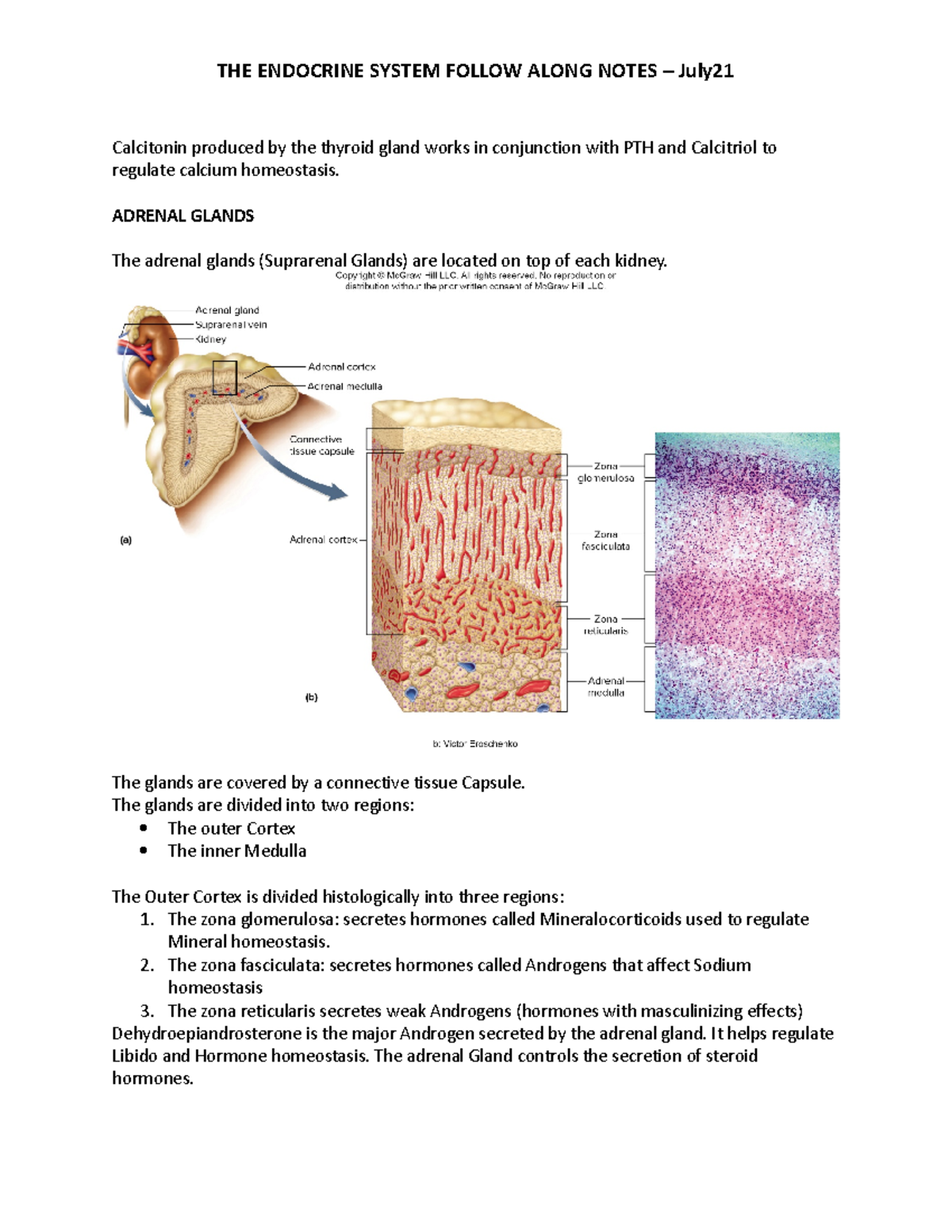WEEK 7 Assignment - Calcitonin produced by the thyroid gland works in ...