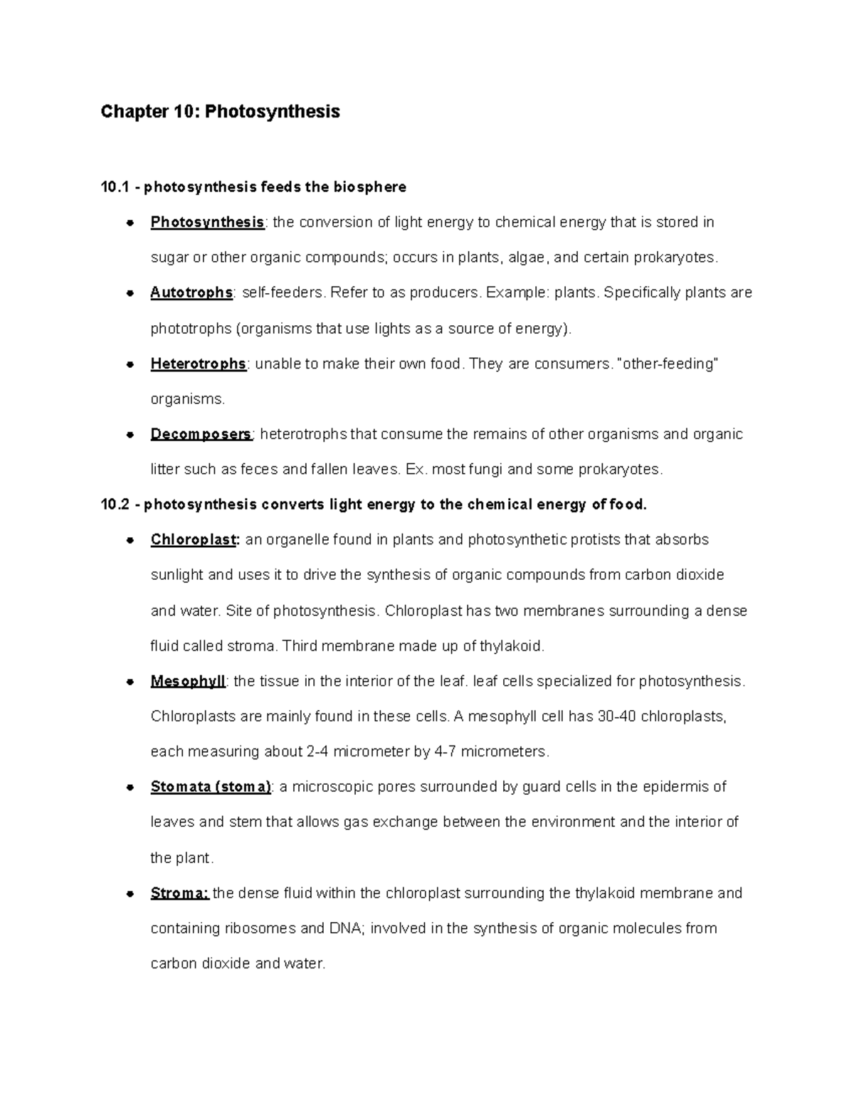 untitled-document-notes-chapter-10-photosynthesis-10