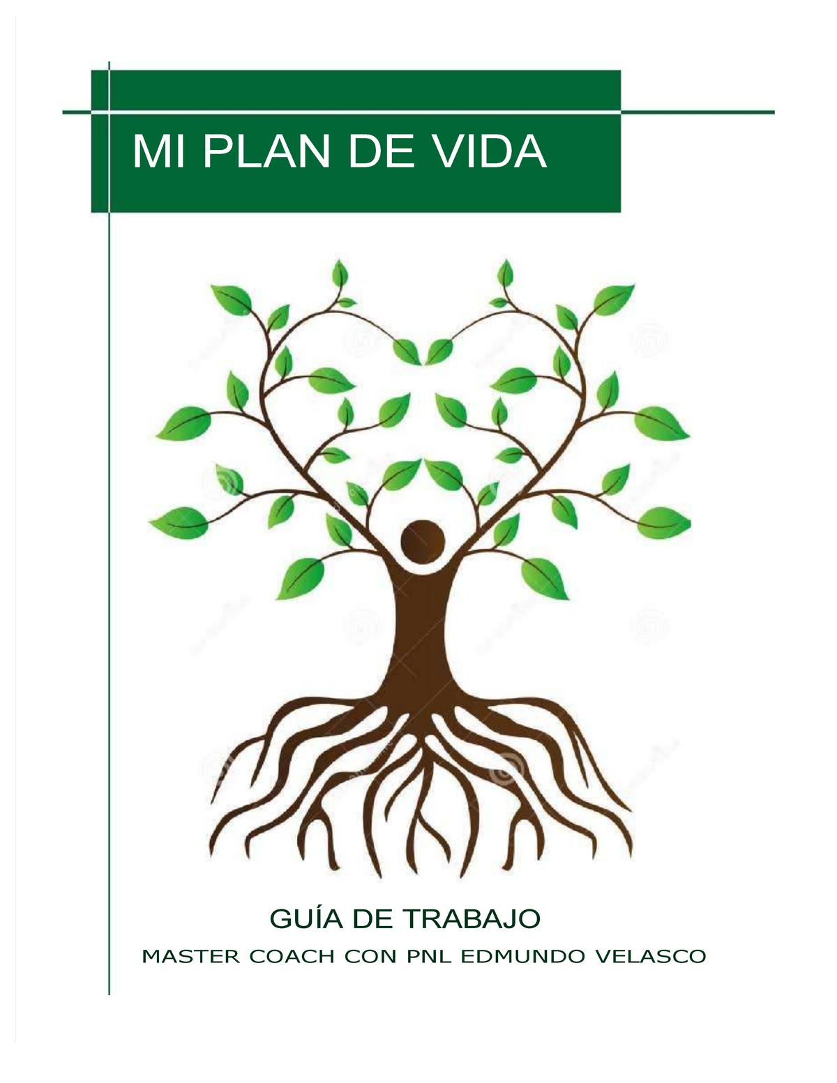 Pdf 1 mi plan de vida - Plan de vida, que es, para que sirve y como realizarlo - MI PLAN DE VIDA ...