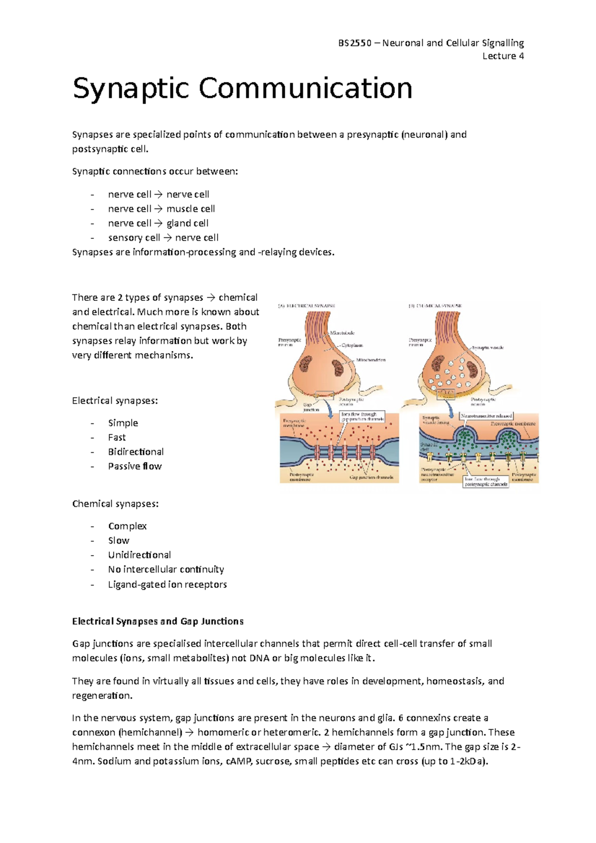 4 - Synaptic Communication - BS2550 – Neuronal and Cellular Signalling ...