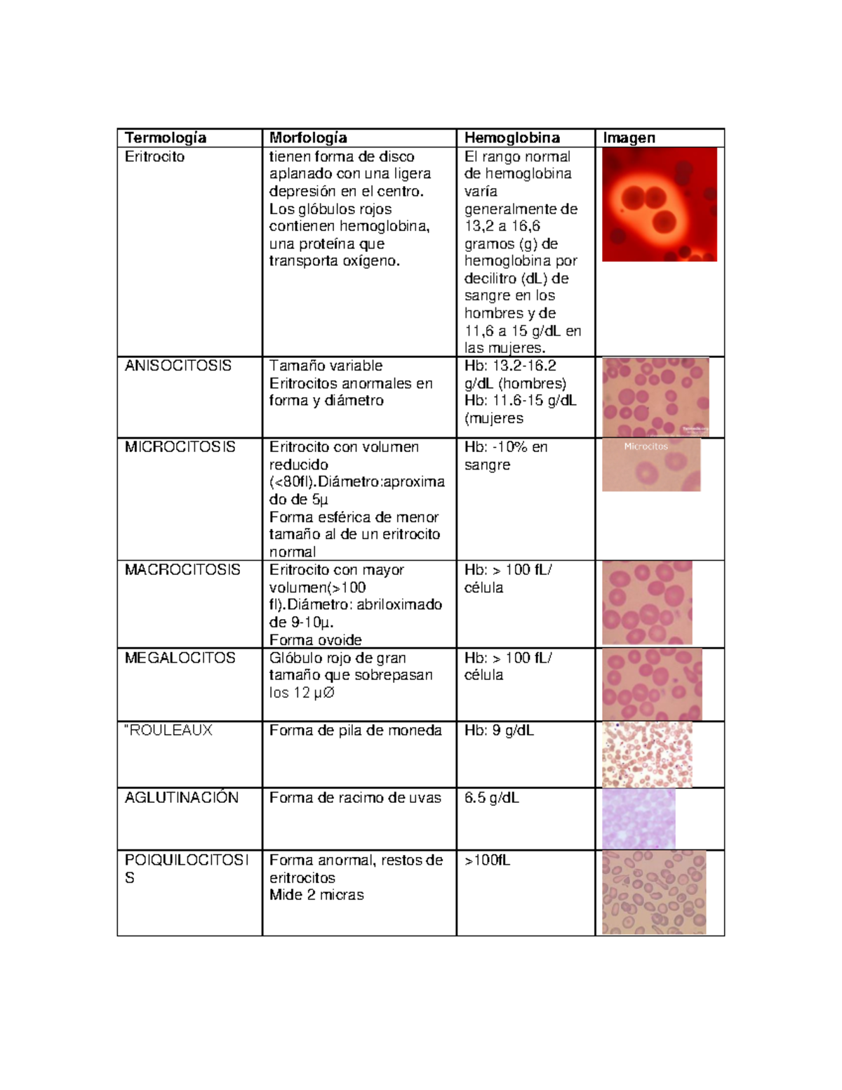 Morfologia Serie ROJA. MSR - Termología Morfología Hemoglobina Imagen ...