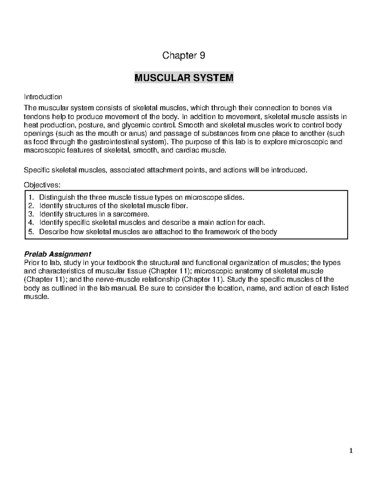 Ch 9 Muscular System - Chapter 9 MUSCULAR SYSTEM Introduction The ...