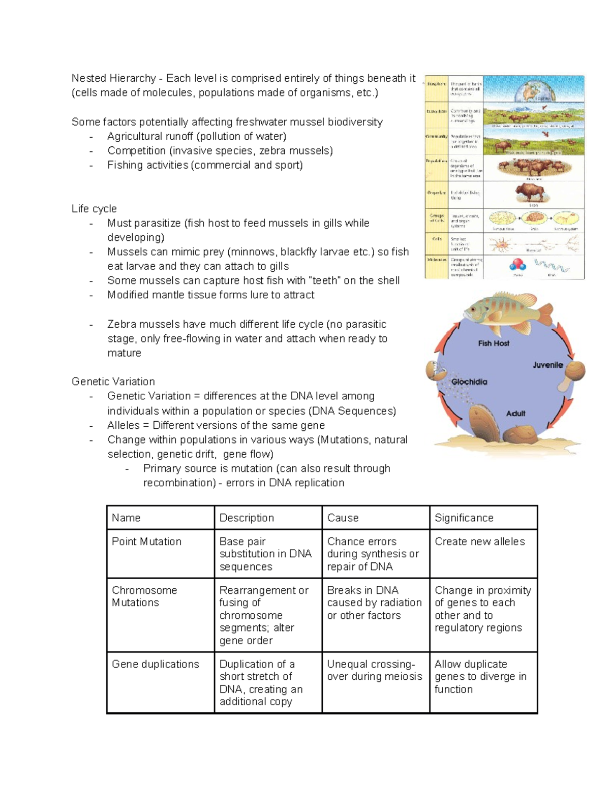 Notes Midterm 1 - Nested Hierarchy - Each level is comprised entirely ...