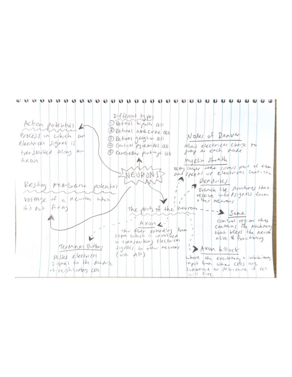 SRL 3 - Mind Map - PSYC1022 - Studocu