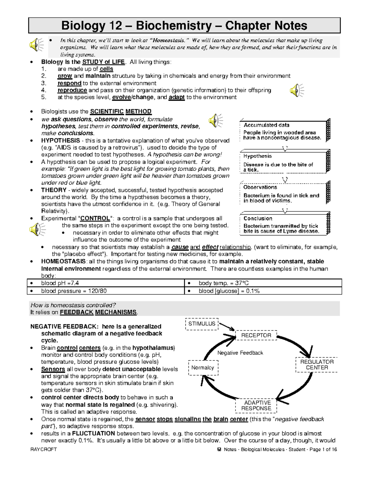 Notes- Biological molecules (summary + visuals) - Biology 12 ...