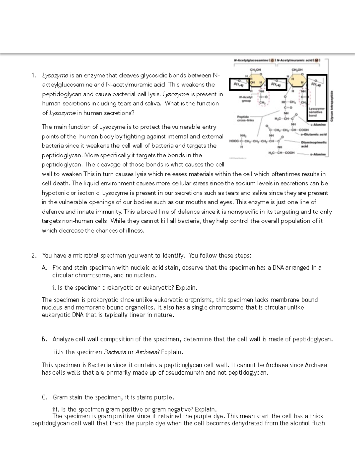 2303 week 2 worksheet - mini assignment - MIDTERM- STYLE QUESTIONS ...