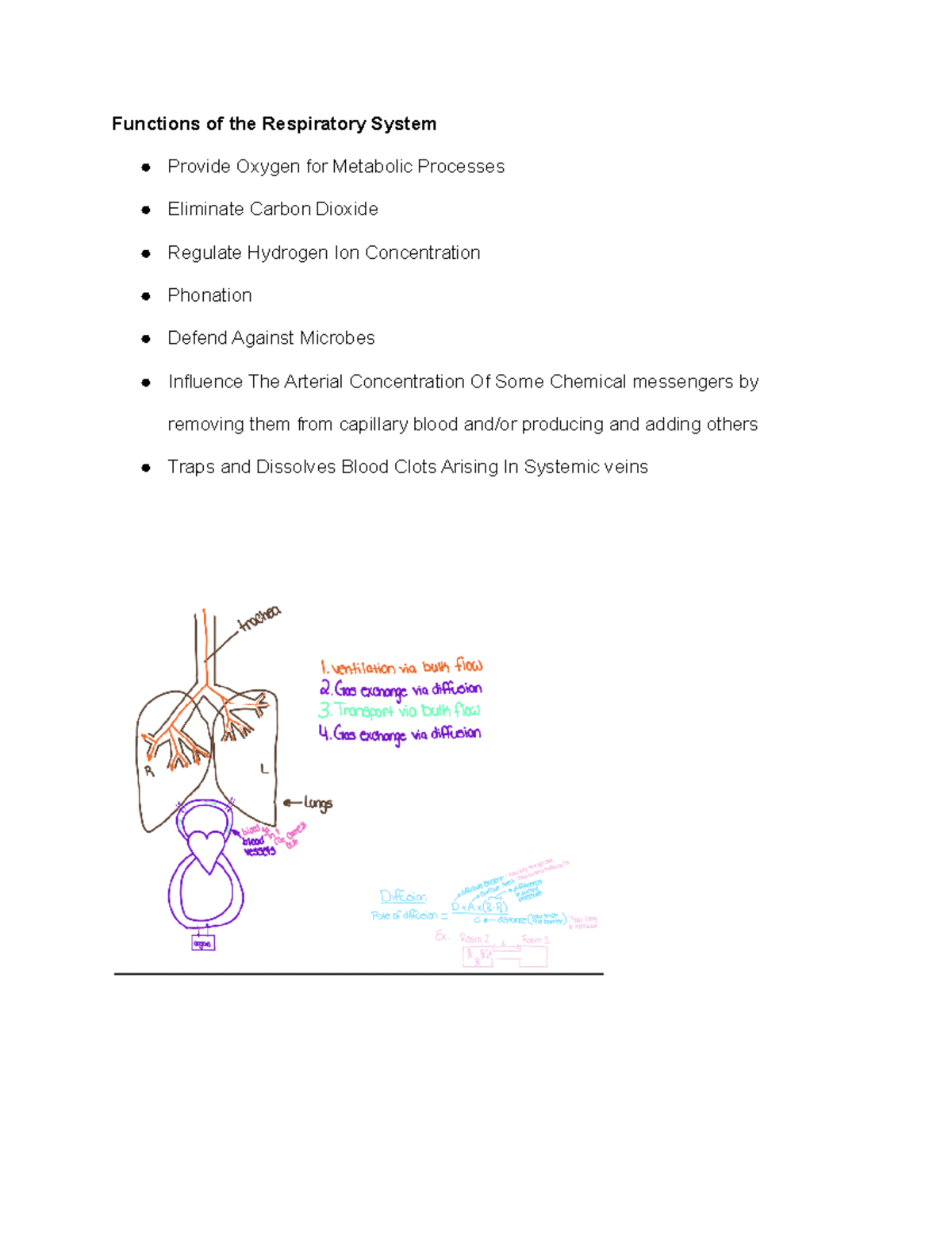 Respiratory - notes - Functions of the Respiratory System Provide ...
