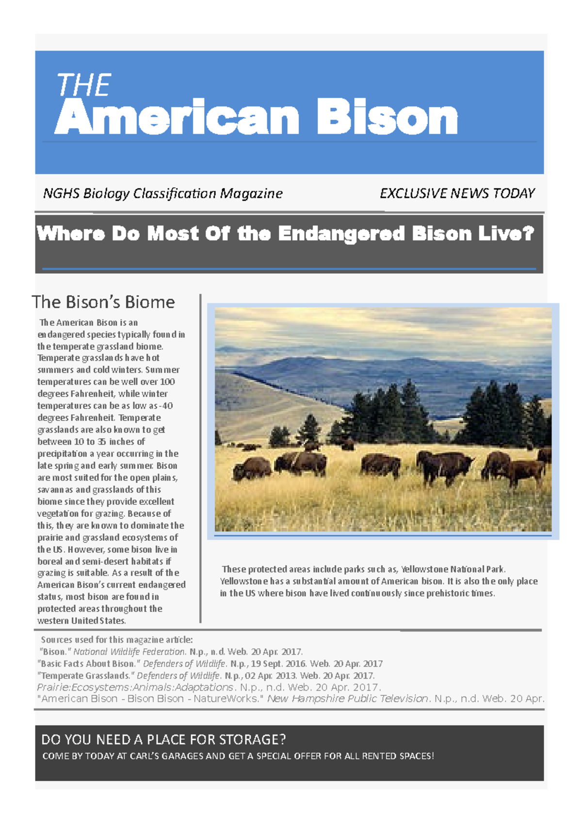 Animal Classification Project 123 - THE American Bison NGHS Biology ...