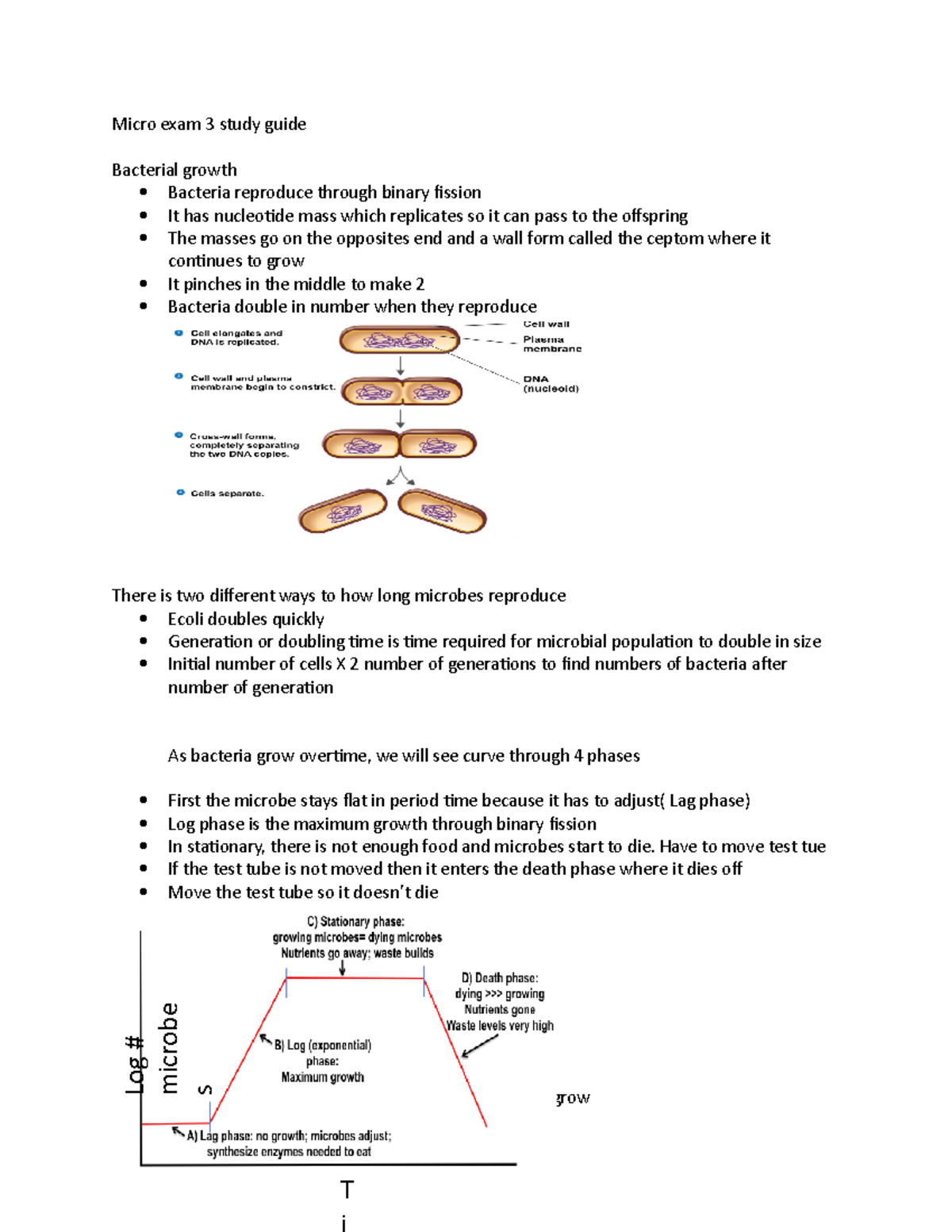 211 - dr. s - Micro exam 3 study guide Bacterial growth Bacteria ...