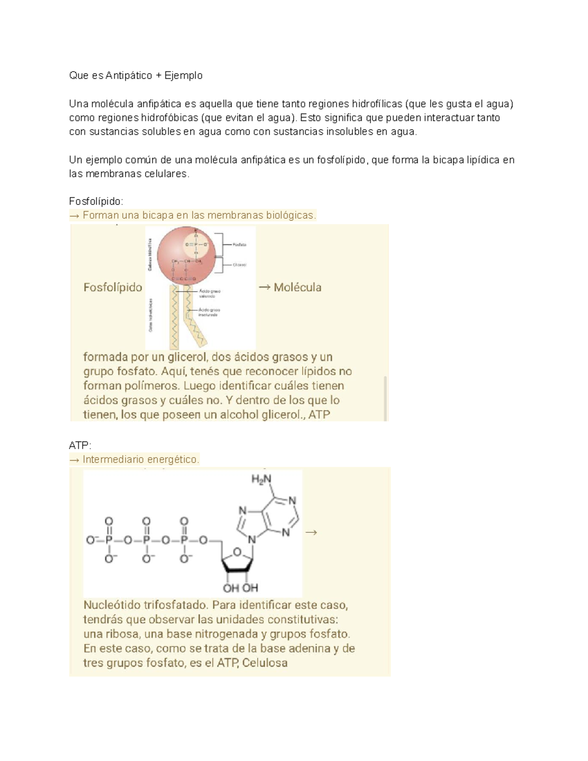 Bio resumen dudas - Que es Antipático + Ejemplo Una molécula anfipática ...