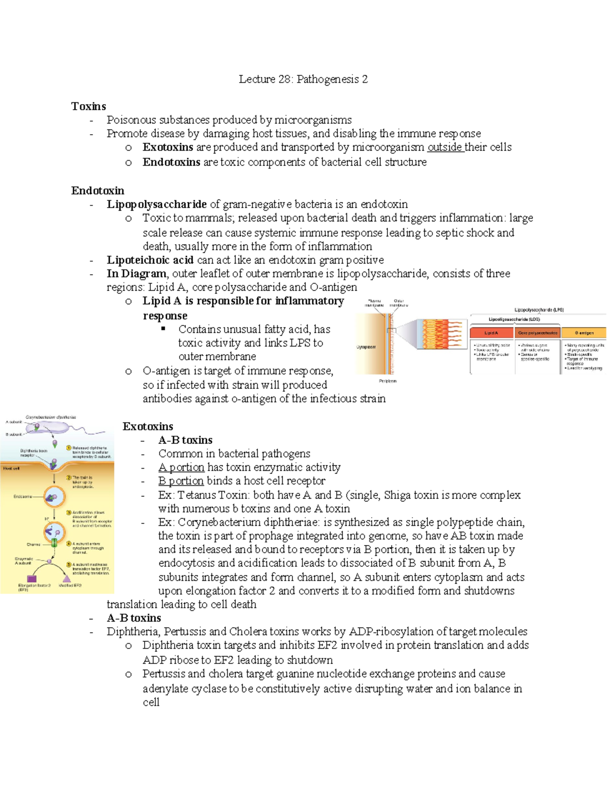 Lecture 28 - notes - Lecture 28: Pathogenesis 2 Toxins Poisonous ...