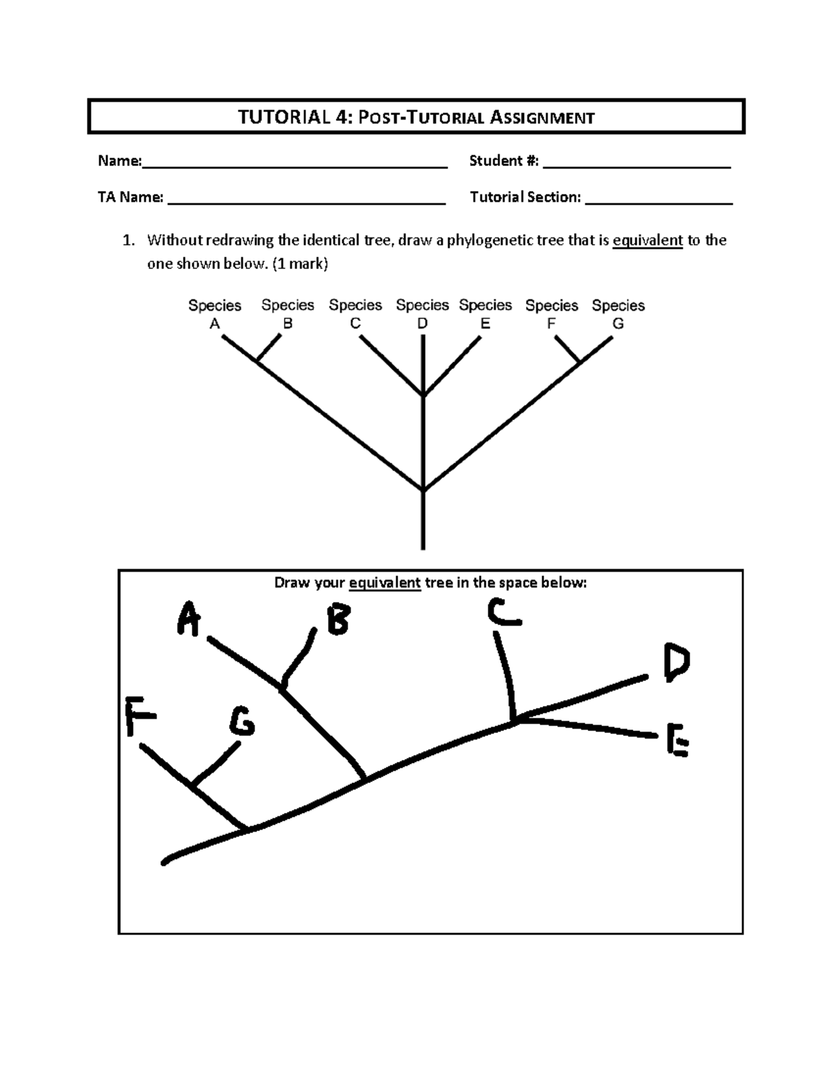 Post-tutorial 4 Assignment F2021 - TUTORIAL 4: POST-TUTORIAL ASSIGNMENT Name: - Studocu