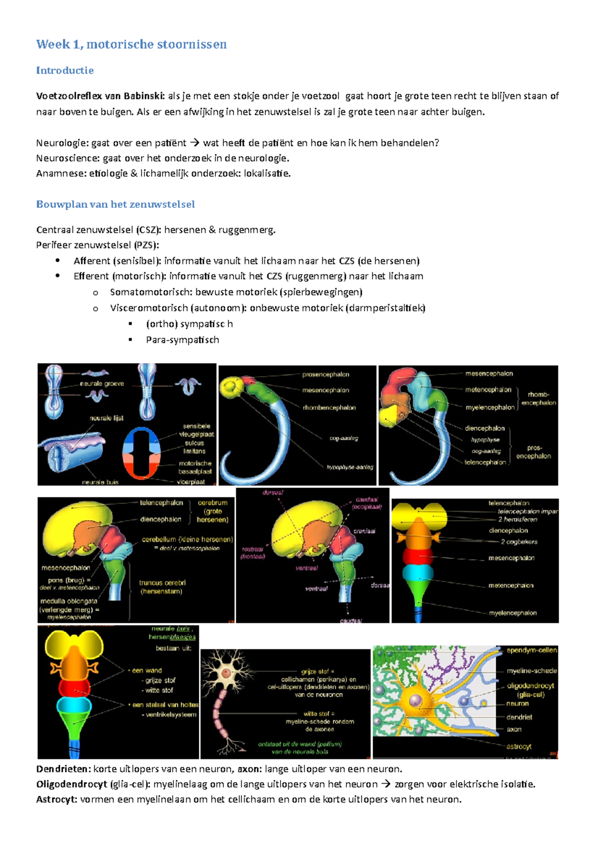 College week 1 en 2 - Week 1, motorische stoornissen Introductie ...
