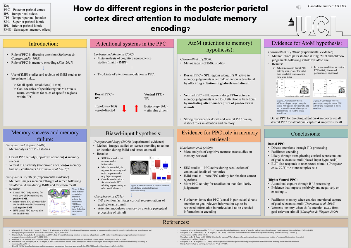 Sample Poster 1 - How do different regions in the posterior parietal ...