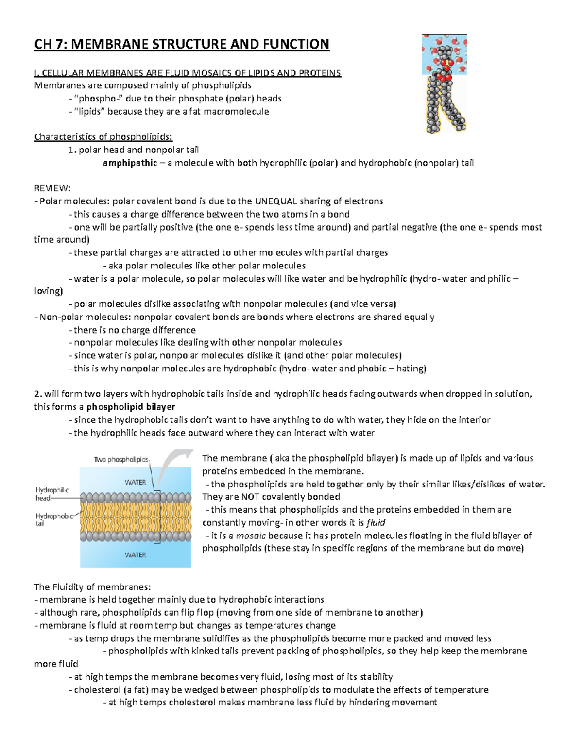 Ch 7 Membrane Structure And Function Deprecated Api Usage The Svg Back End Is No Longer
