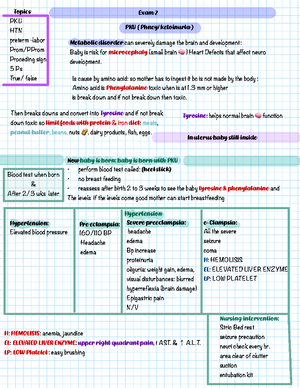 Isbar documentation sheet and practice - Nur (2100d) - I-SBAR I Your ...