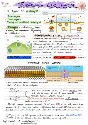 Anatomi Översikt - OM4310 - Studocu