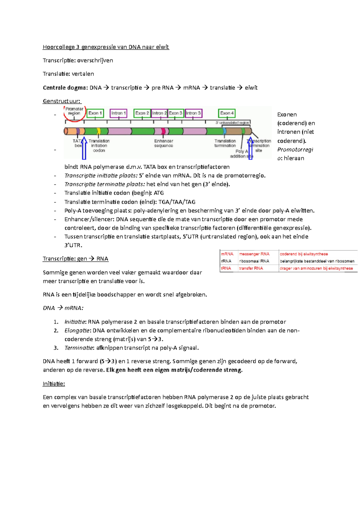 Hoorcollege 3 genexpressie DNA naar eiwit - Hoorcollege 3 genexpressie ...