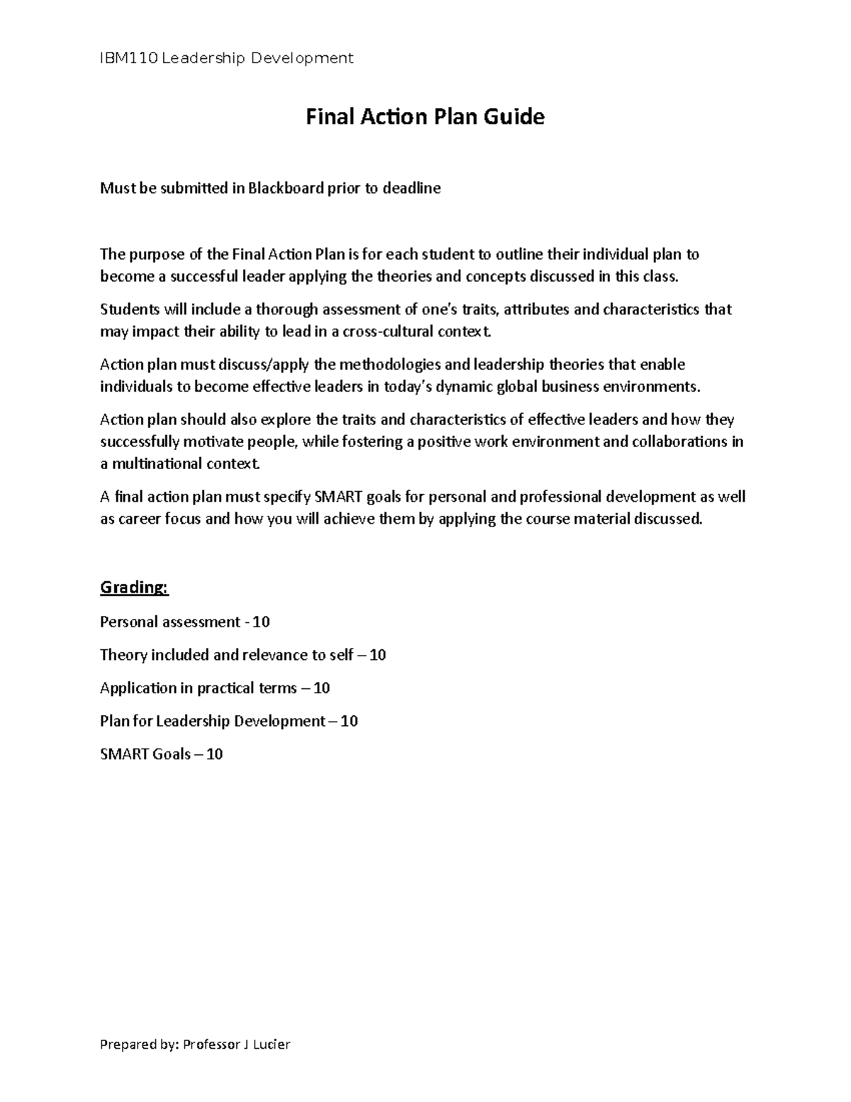 Final Action Plan Guide - IBM110 Leadership Development Final Action ...