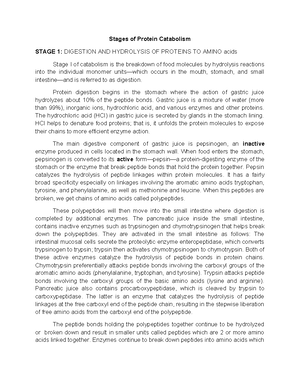 Outline for Reporting - biology - Name: MEA JOY G. DALOGDOG MST- GS 1 ...