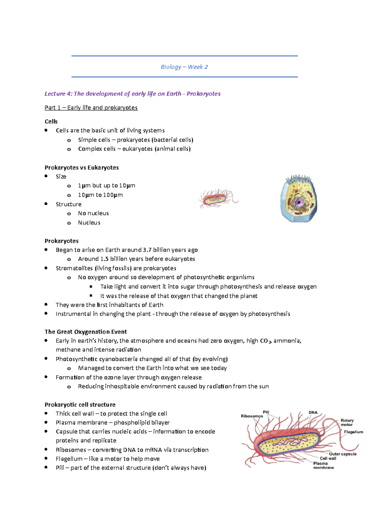 Week 2 - Lecture Notes - Biology – Week 2 Lecture 4: The development of ...