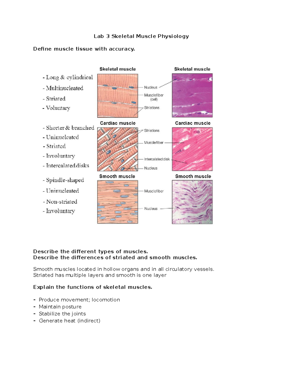 Lab 3 Skeletal Study Guide - Lab 3 Skeletal Muscle Physiology Define ...