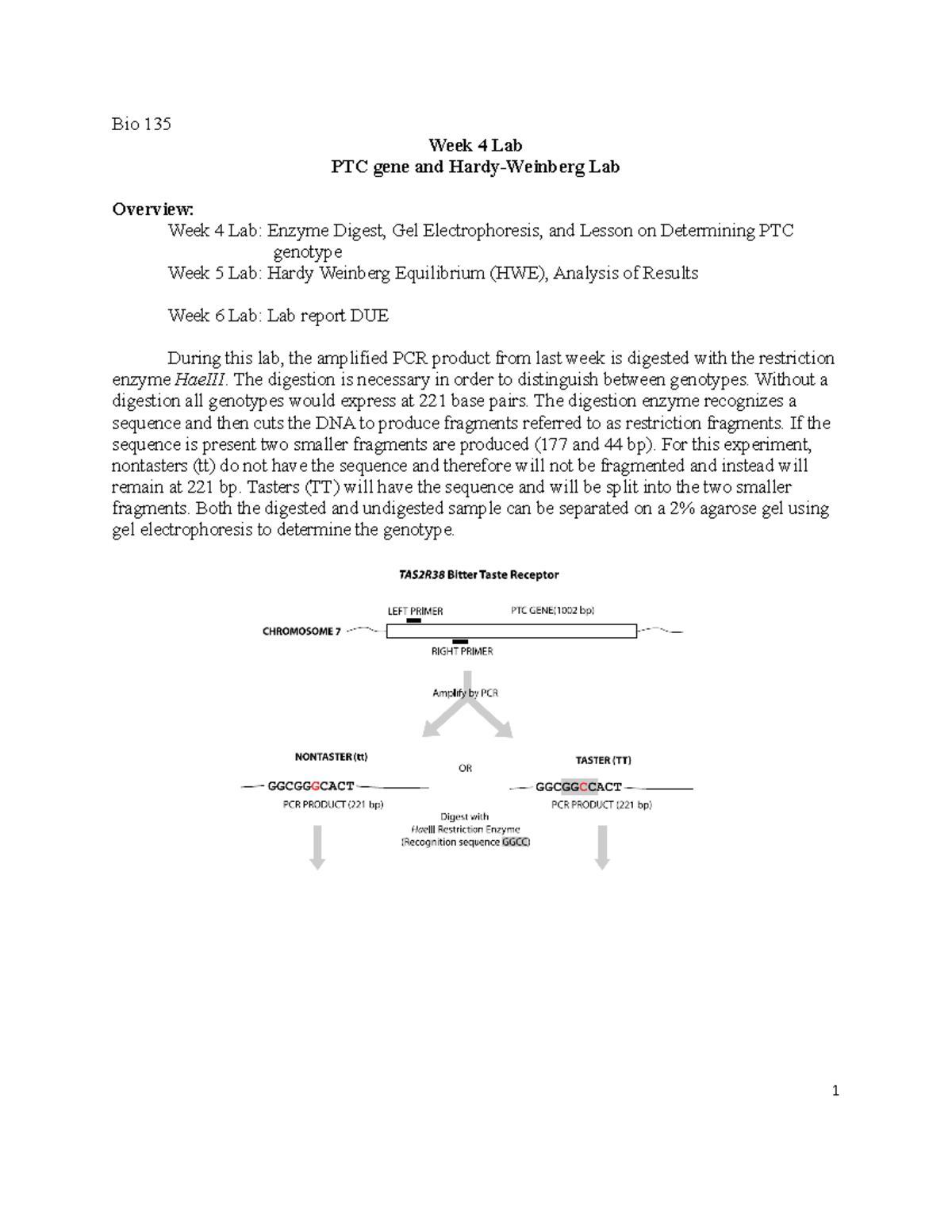 Bio 135 Week 4 Lab Protocol W22 Update Week 4 Lab Ptc Gene And Hardy Weinberg Lab Overview 