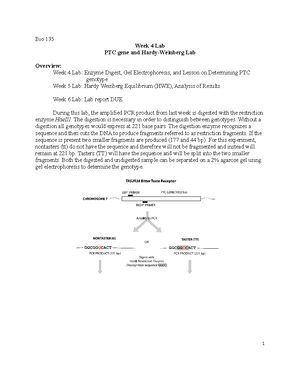 BIO 135 Genetics and Evolution Lab Syllabus W22 - Genetics and ...