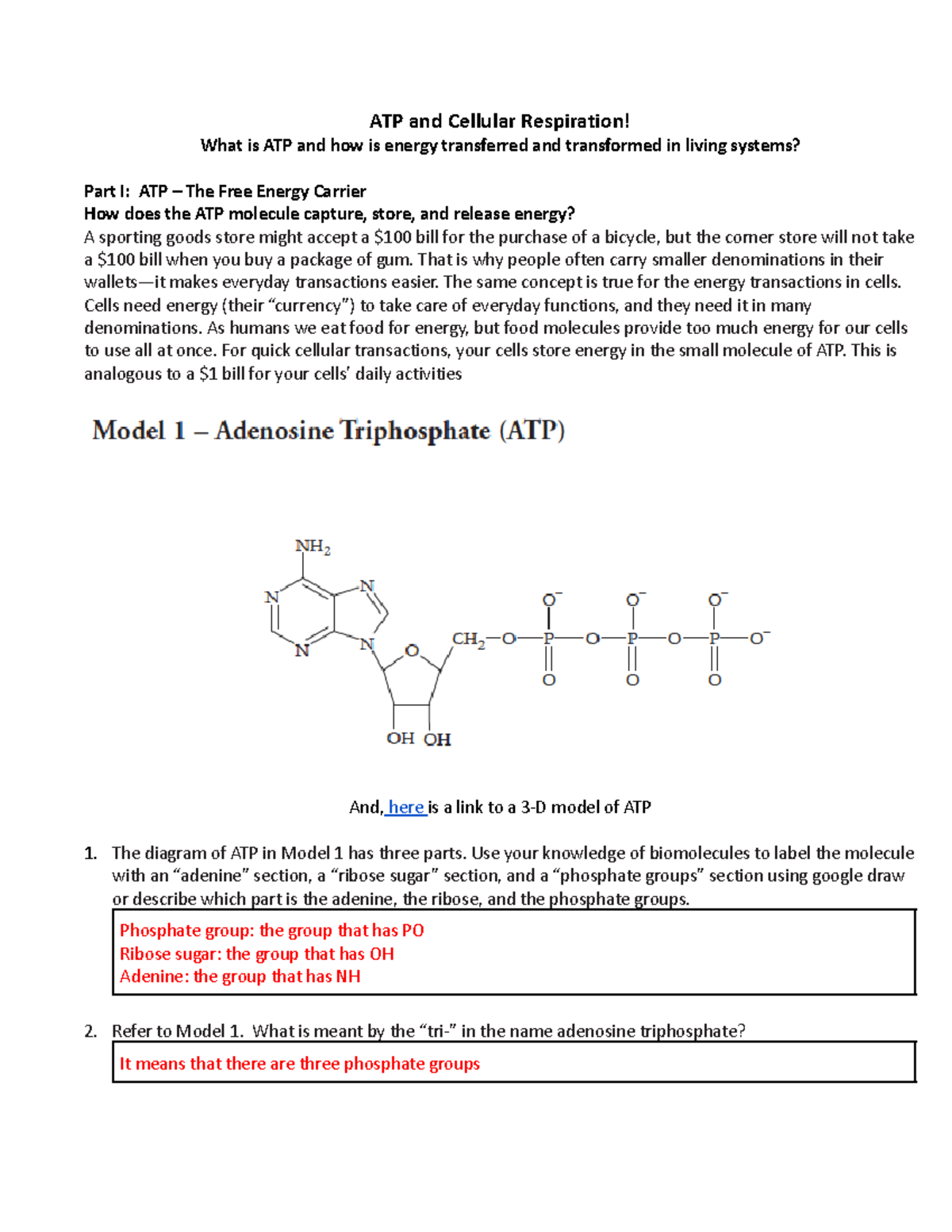 ATP and cellular respiration Pogil - ATP and Cellular Respiration! What ...